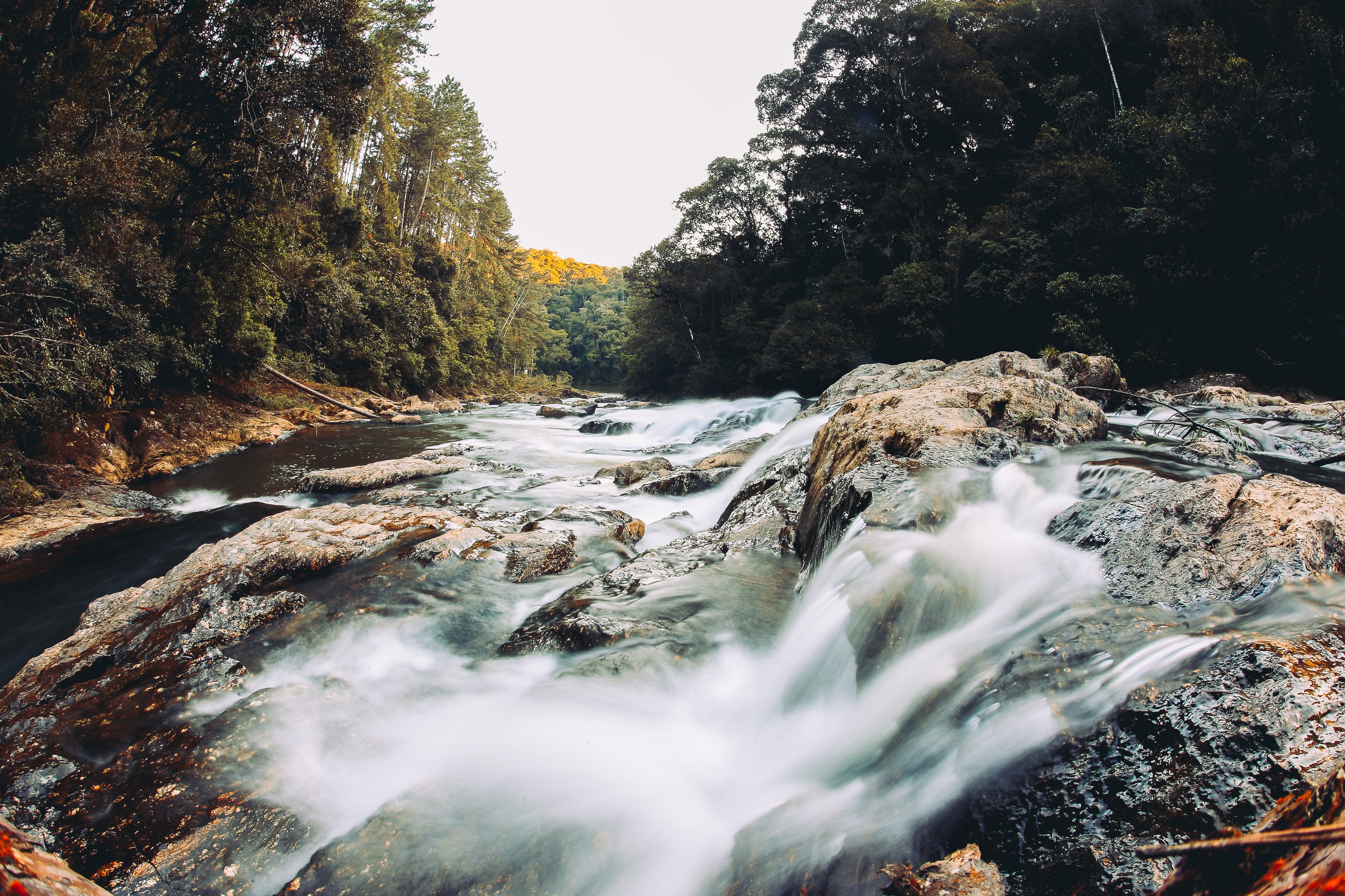 Swimming Upstream | Keep Believing Ministries