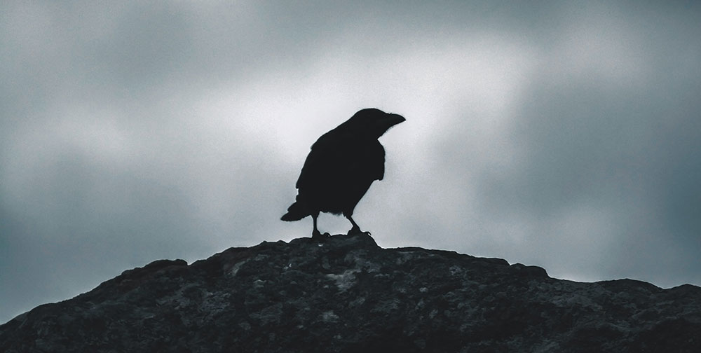 Elijah and the Ravens | Keep Believing Ministries