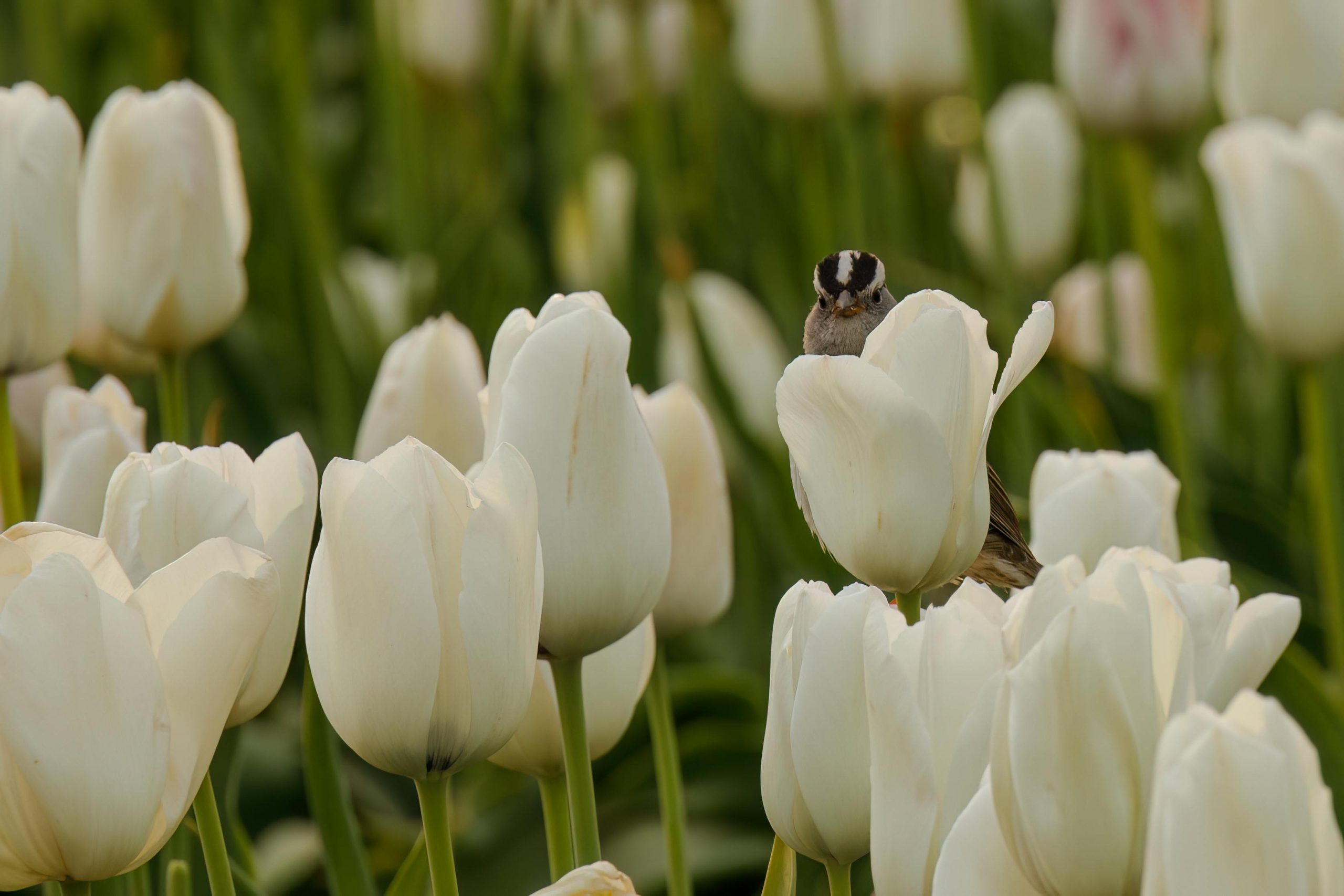 Easter Reactions | Keep Believing Ministries